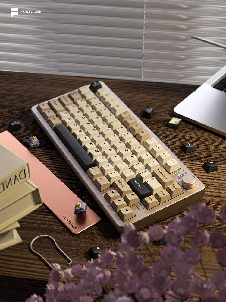 Furycube丨Revolution x Innovation – FURYCUBE